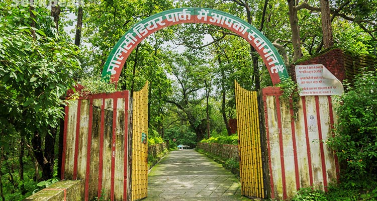 Malsi Deer Park Dehradun (Entry Fee, Timings, History, Built by, Images ...