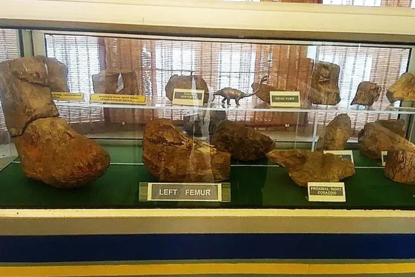 Zonal Museum Dehradun (Entry Fee, Timings, History, Built by, Images ...